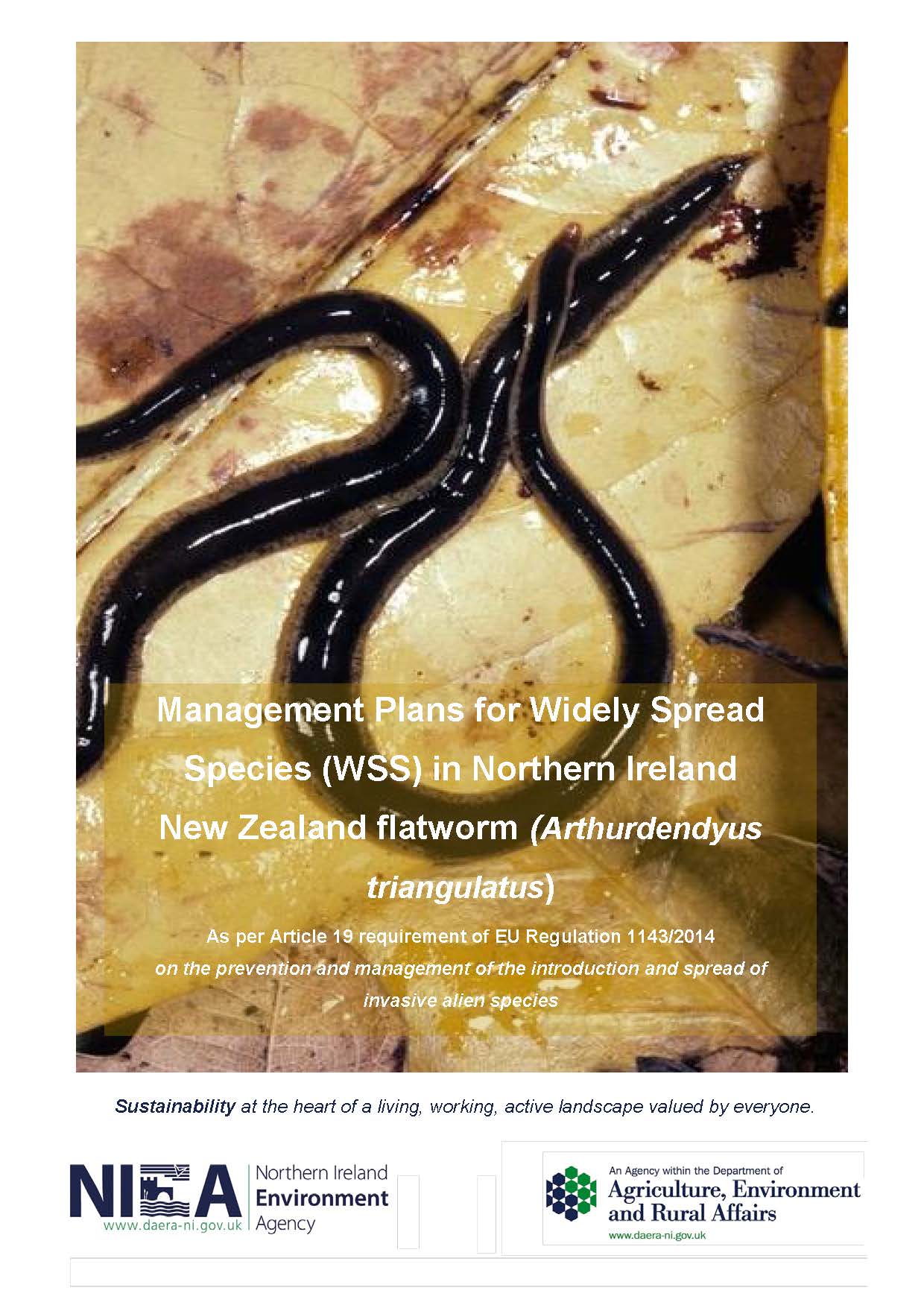 Widely Spread Species in NI – Invasive Species Northern Ireland