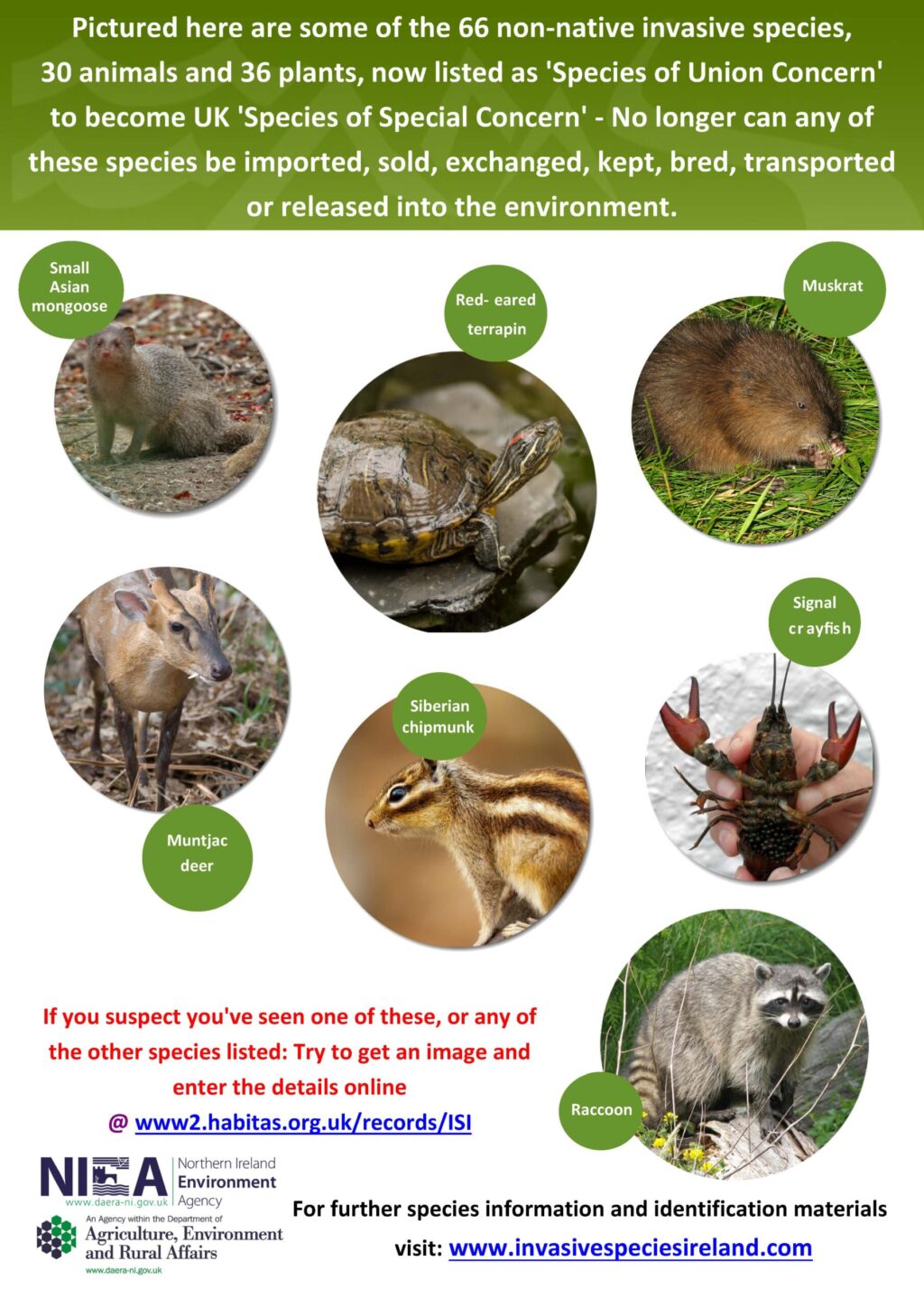 European Union – Invasive Species Ireland