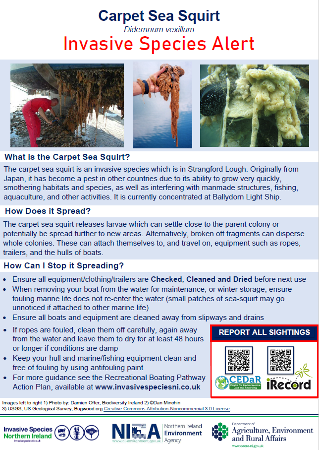 Invasive Species Northern Ireland