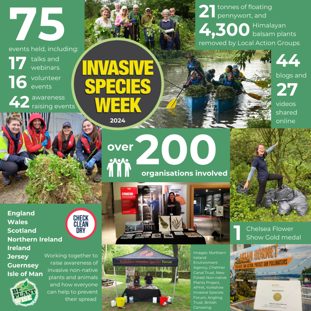 Invasive Species Northern Ireland – Invasive Species Northern Ireland