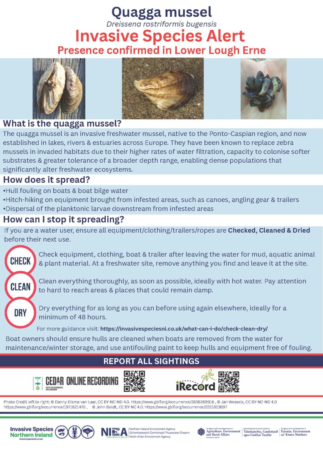 Invasive Species Northern Ireland – Invasive Species Northern Ireland