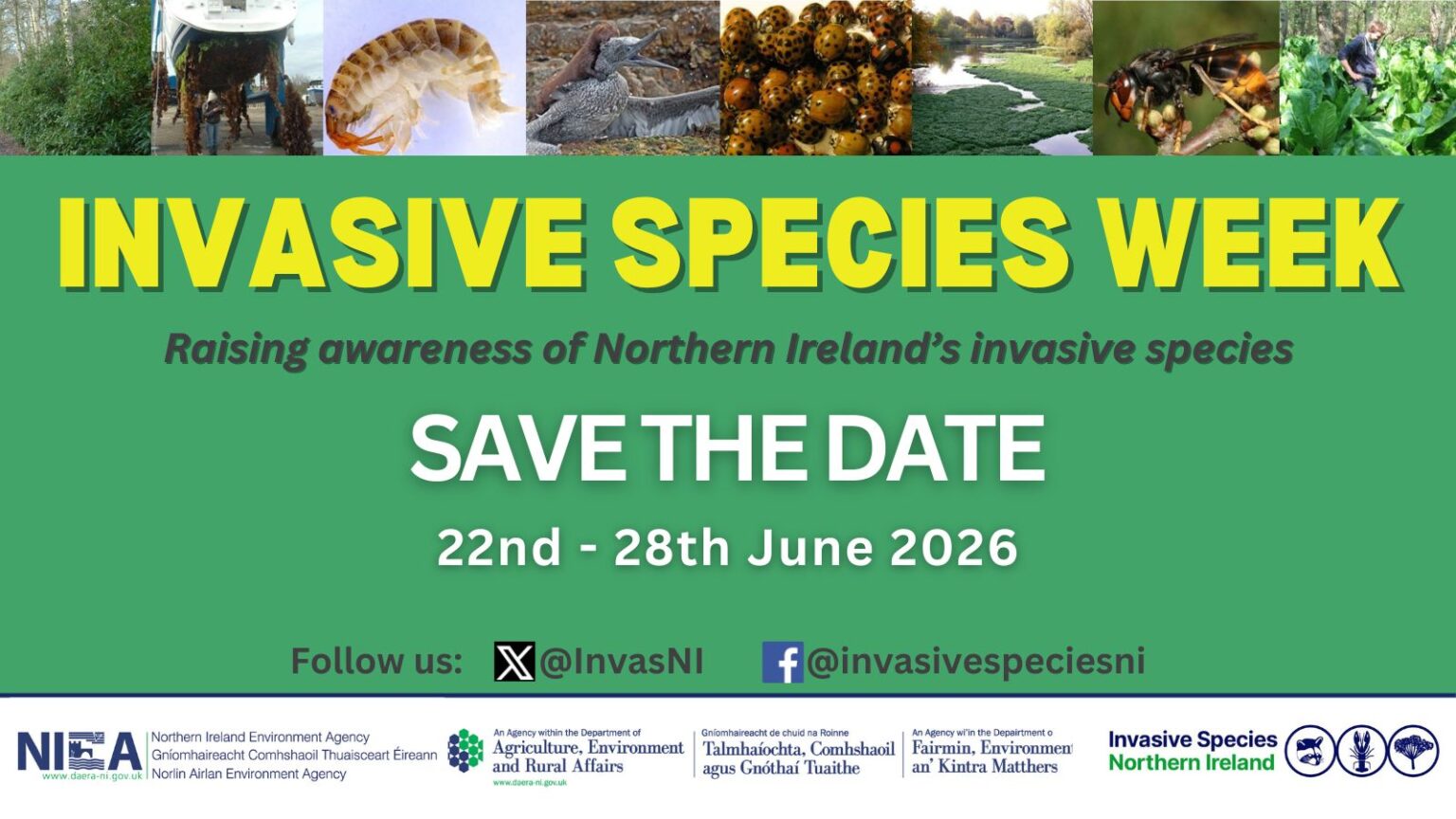 Invasive Species Week 2026 – Invasive Species Northern Ireland