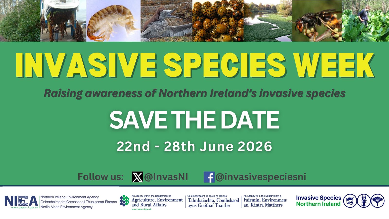Invasive Species Week 2026 – Invasive Species Northern Ireland